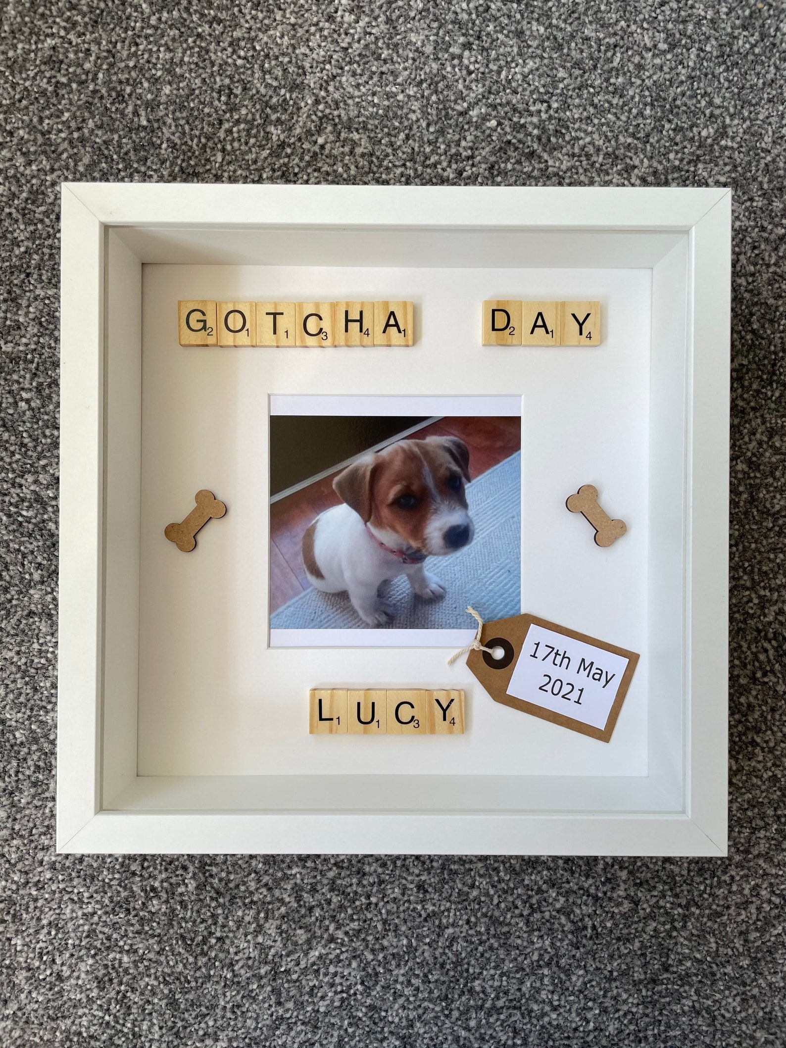 Dog Gotcha Day Frame Puppy Gotcha Day Frame Pet Gift Dog - Etsy