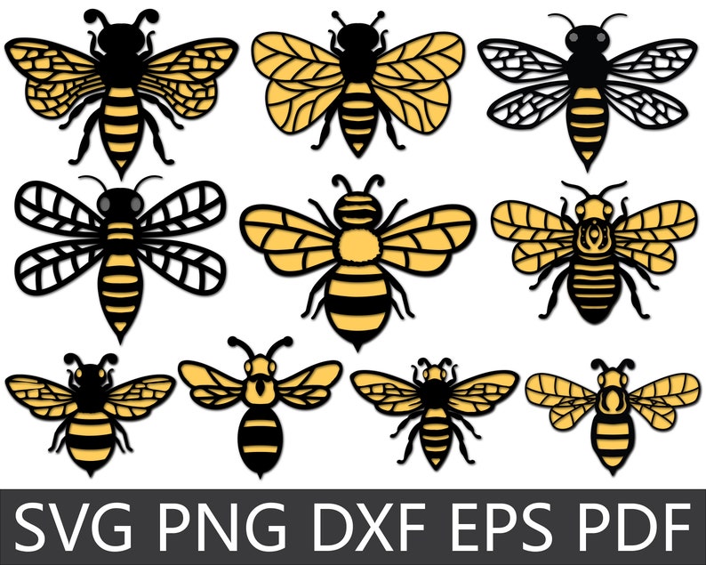 Bee SVG Layered Bee Bundle Svg PNG EPS Bee Clipart Svg - Etsy