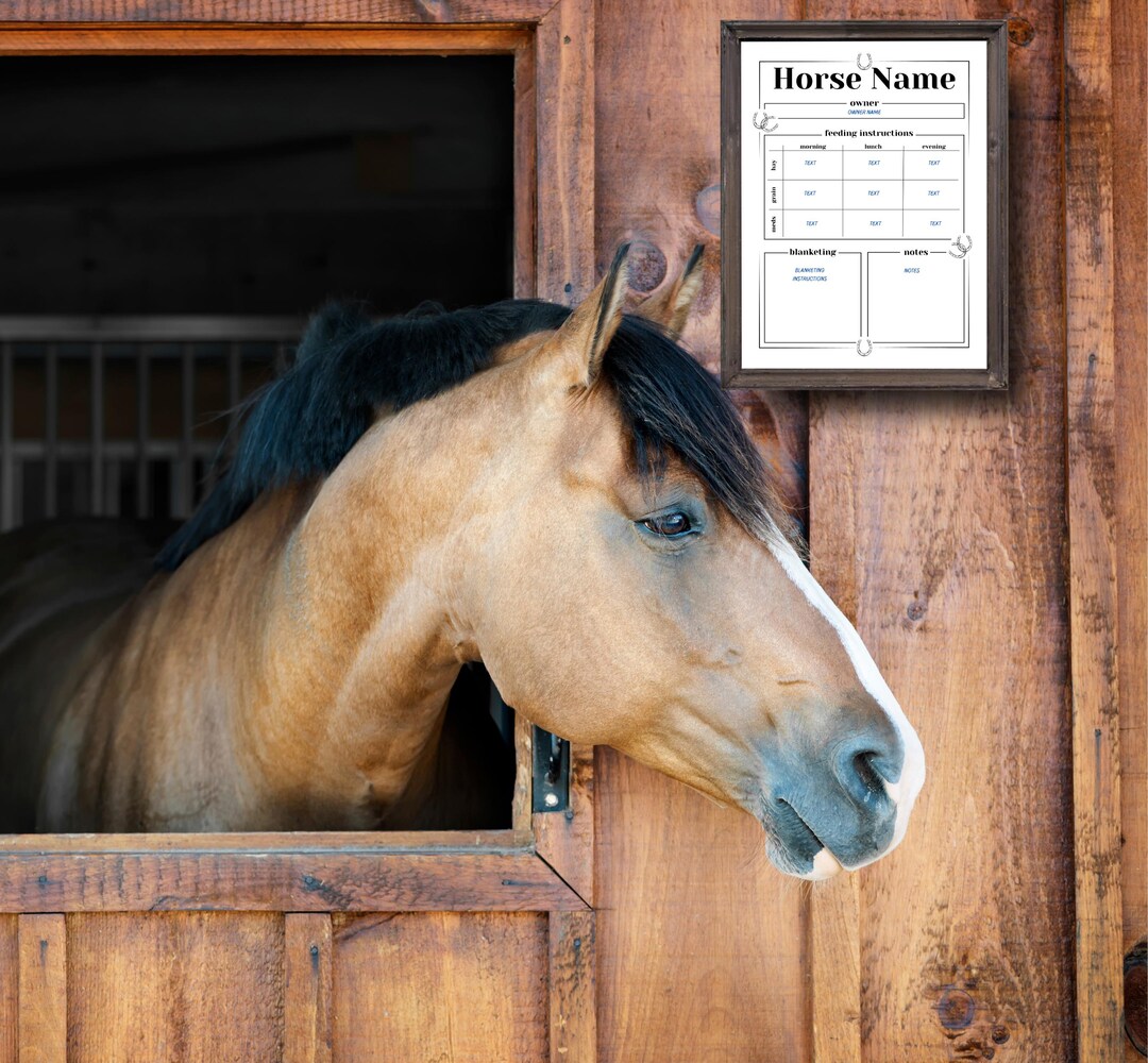 Horse Stall Card Printable Templates | Editable Canva + PDF - Etsy