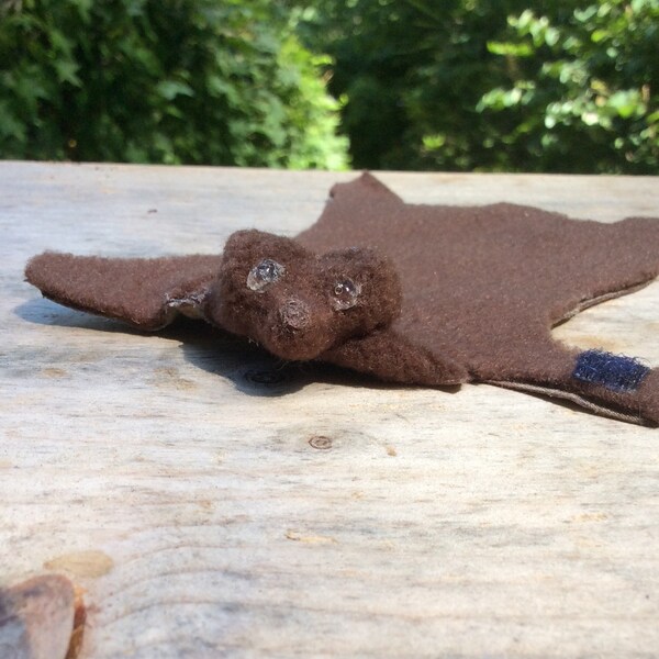 Bear Skin Rug - Etsy
