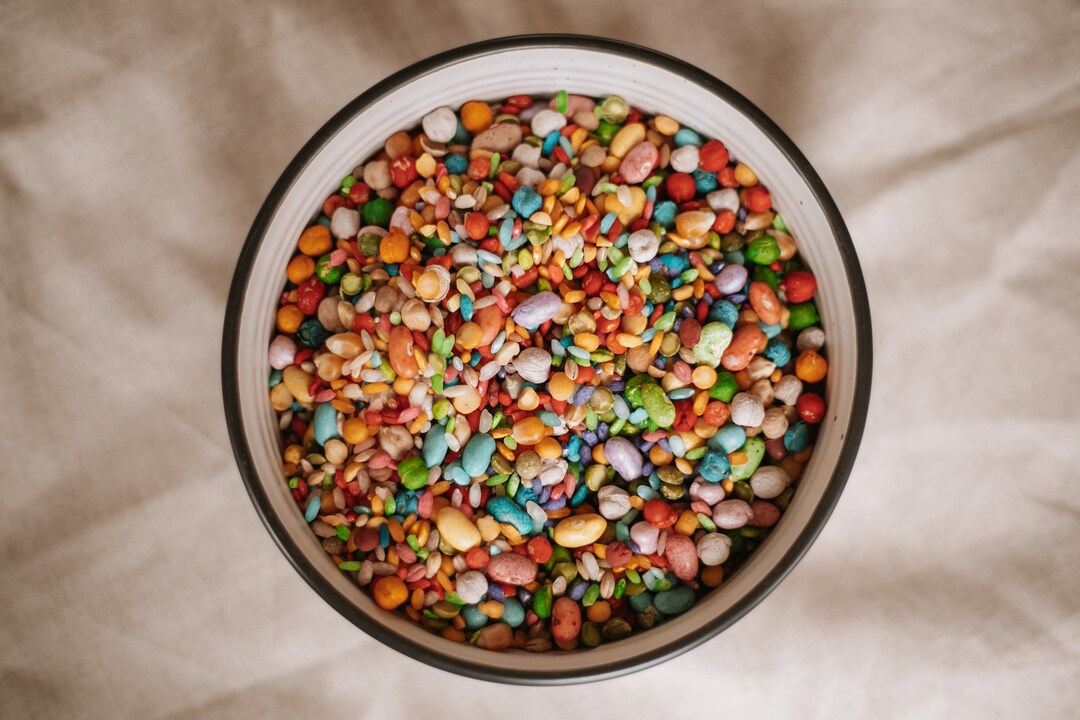 550g Coral Reef Sensory Mix Sensory Base Rainbow Rice Mix - Etsy