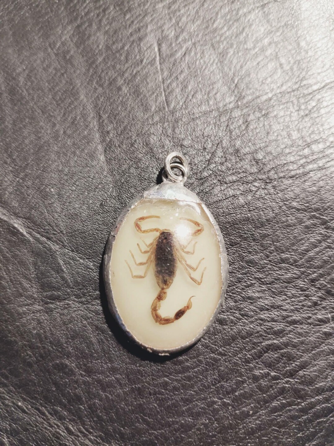 Scorpion Set in Resin - Etsy