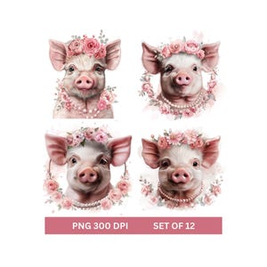 Floral Pig PNG: Watercolor Pearls Before Swine Clipart (digital ...