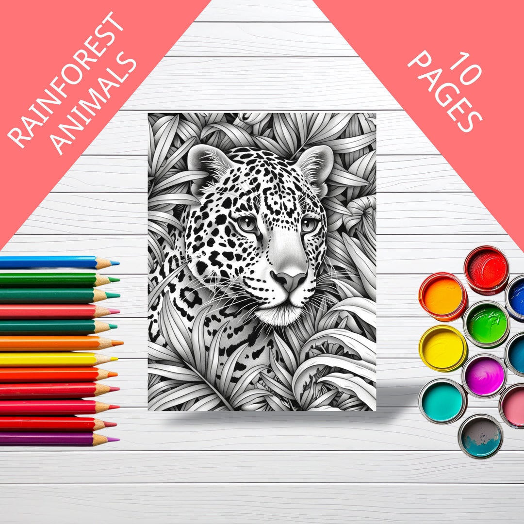 Amazon Rainforest Animals Coloring Pages, Jungle Animals Coloring ...