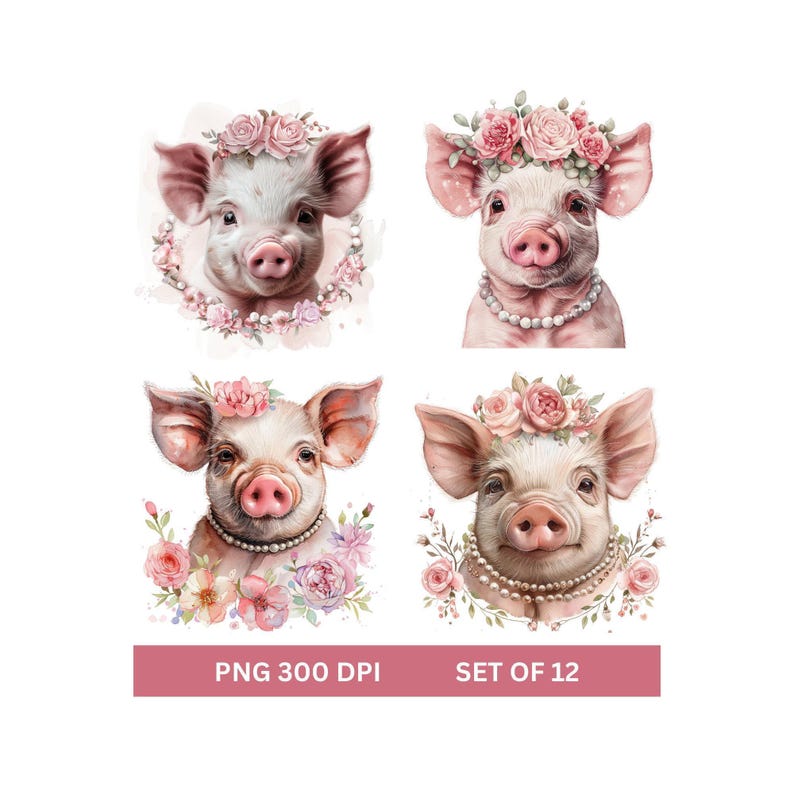 Floral Pig PNG: Watercolor Pearls Before Swine Clipart (digital ...