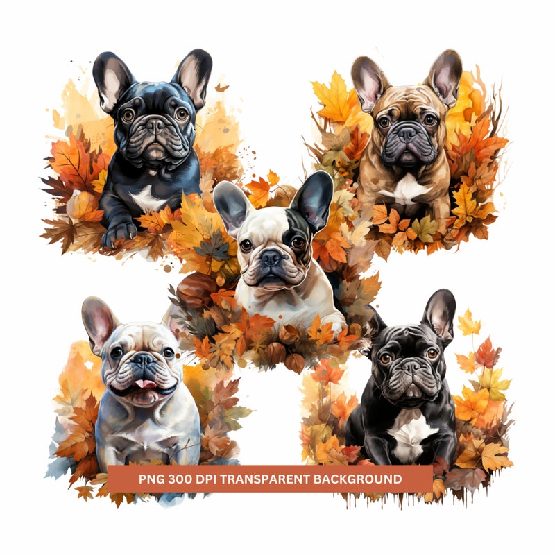 Bulldog Clipart - Etsy