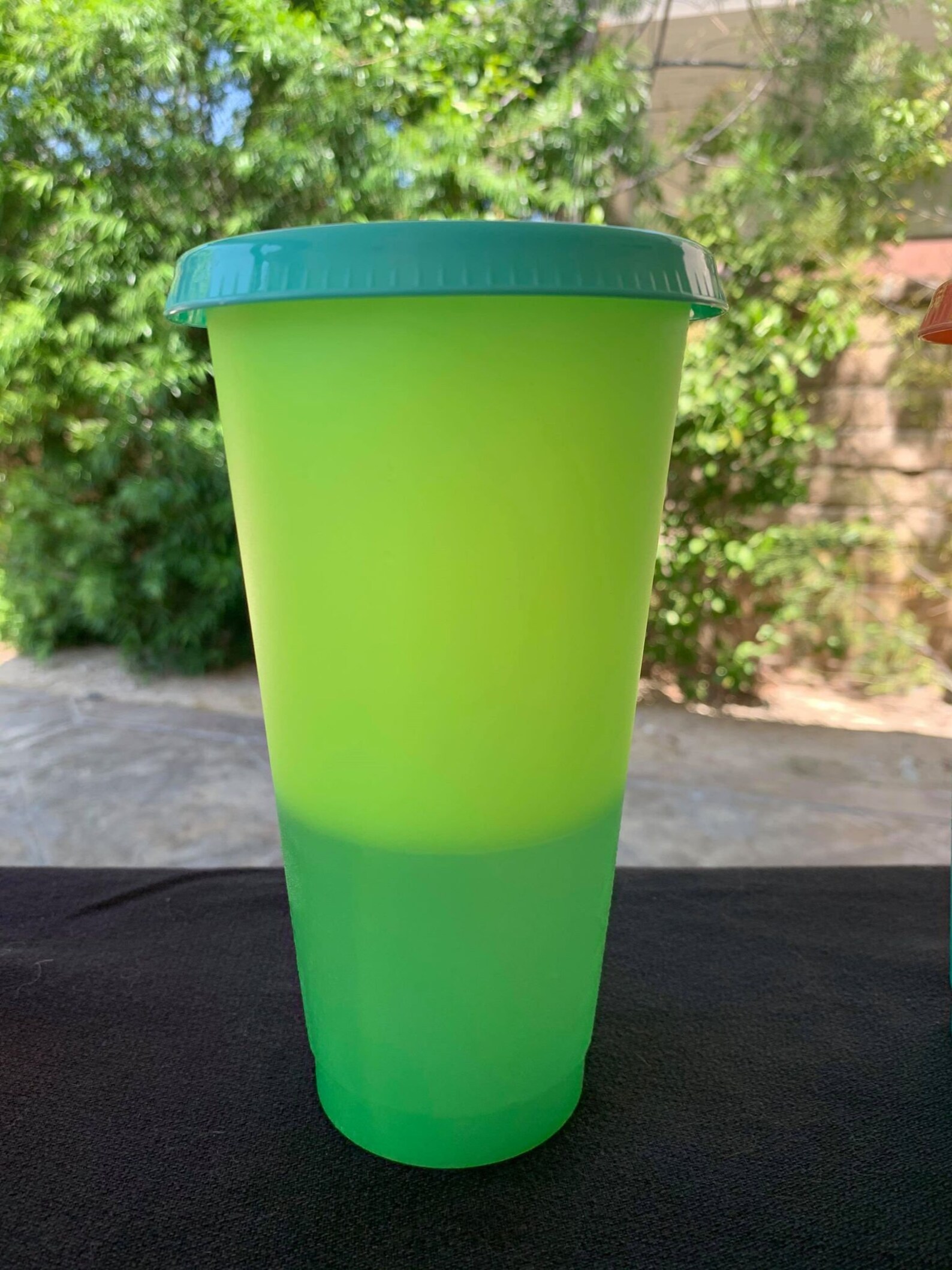 Color Changing Cups Set of 5 With Color Changing Straws - Etsy