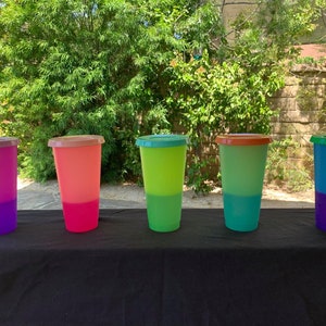 Color Changing Cups Set of 5 with Color Changing Straws | Etsy