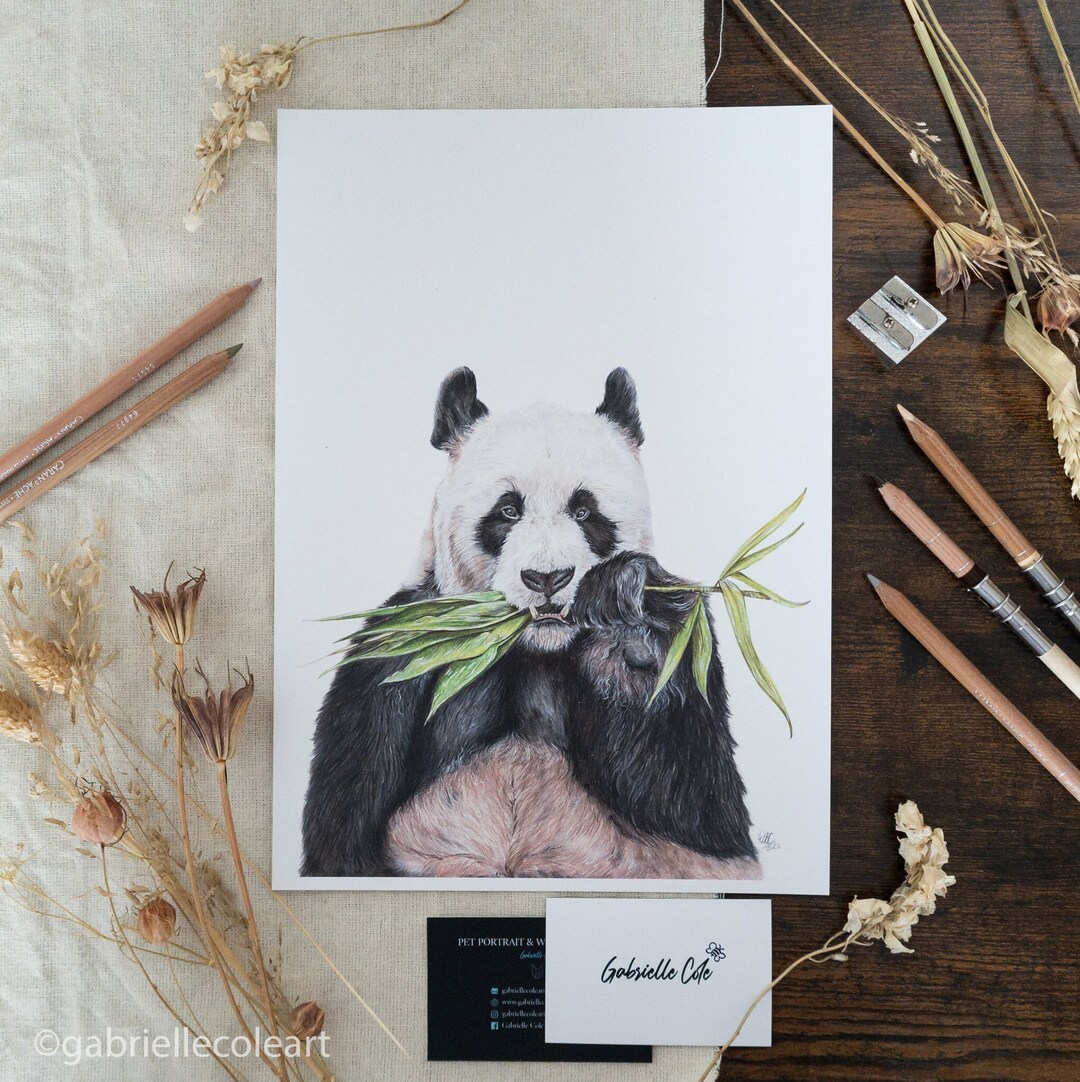 Bamboozled A4 Giant Panda Print | Wildlife Art Print | Nursery Art ...