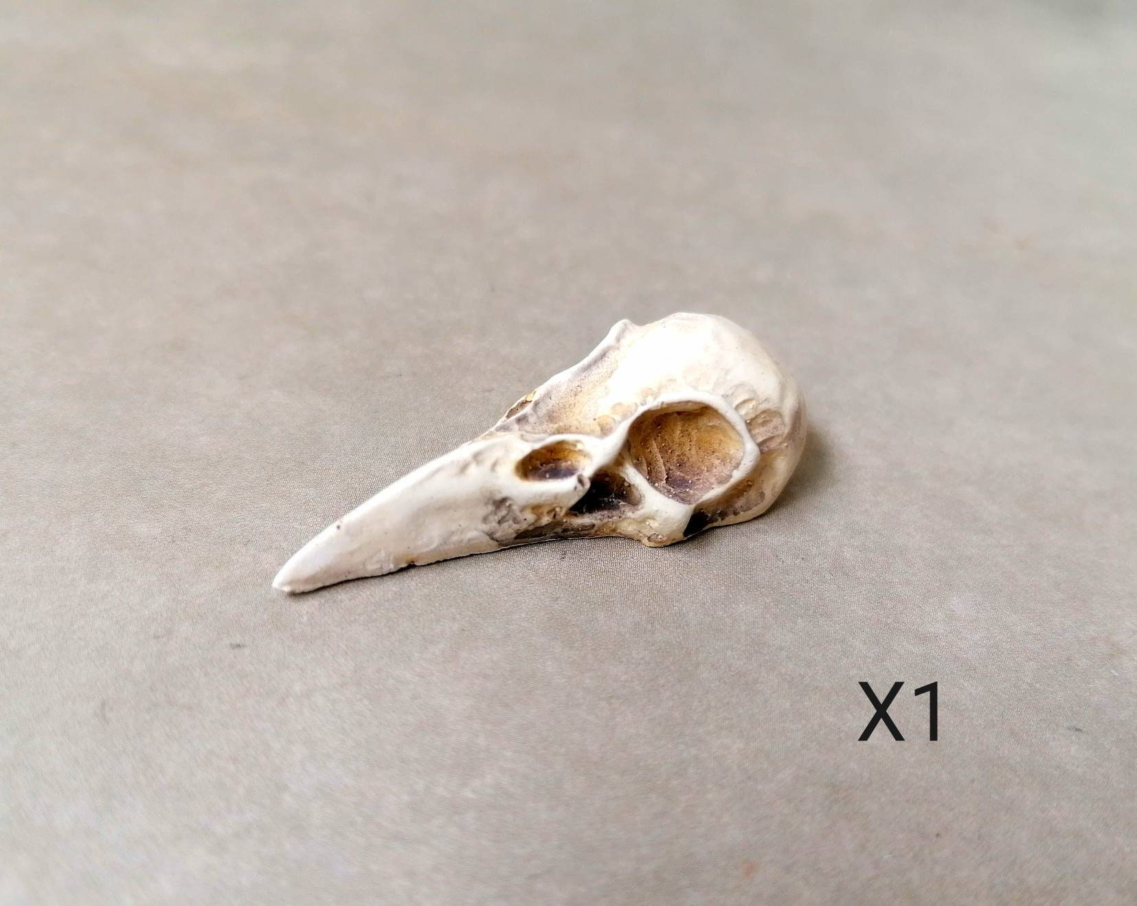 Miniature Bird Skull Ornament - Etsy UK