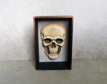 Skull Shadow Box - Etsy UK