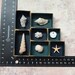 Sea Shell Curiosity Box Display - Etsy UK