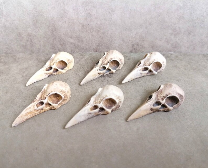 Miniature Bird Skull Ornament - Etsy UK