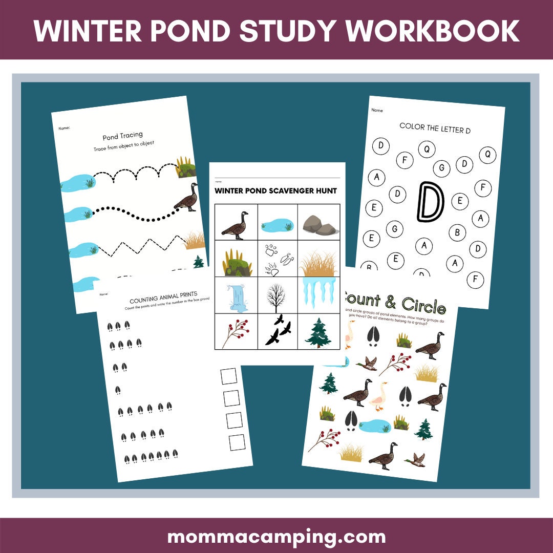 Preschool Printable Winter Pond Study Scavenger Hunt and Workbook ...