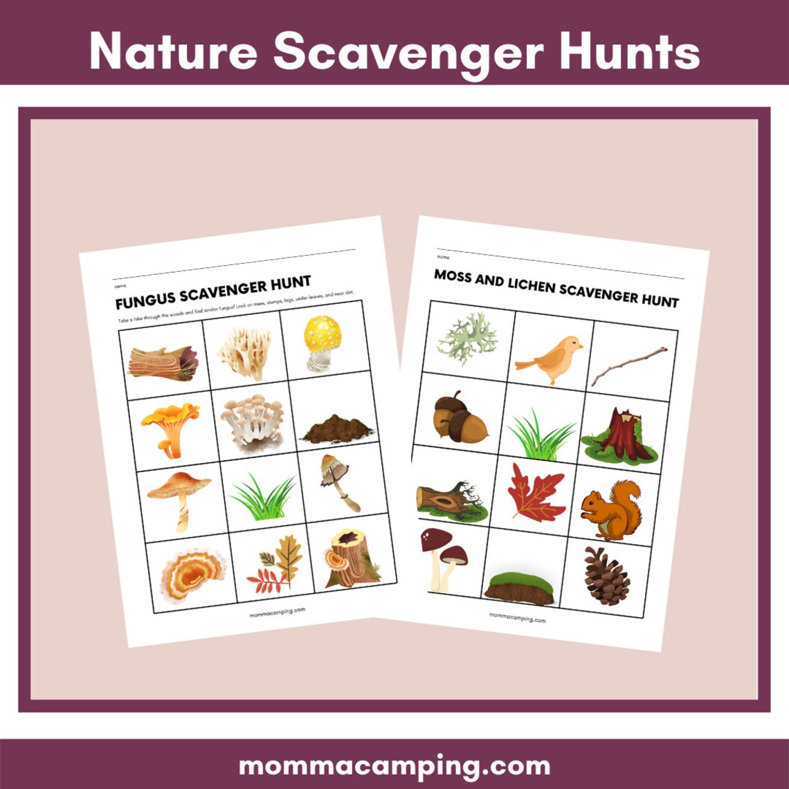 Preschool Fungus, Lichen, and Moss Scavenger Hunt and Worksheets ...