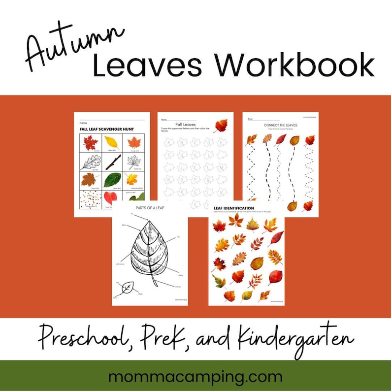 Autumn Leaves Workbook for Preschool, Prek, and Kindergarten - Etsy