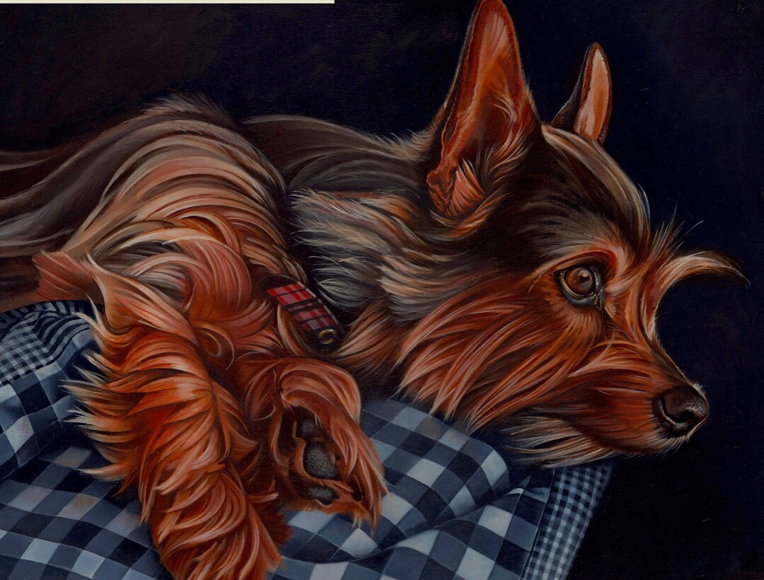 Example of Commissioned Art - Etsy