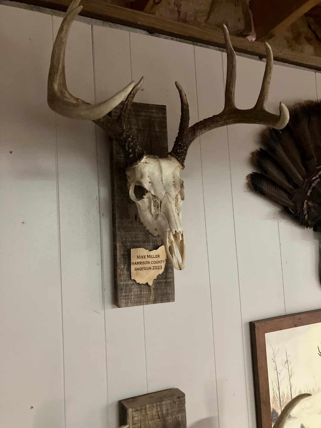 Barn Wood European Mount Wall Display Custom State Plaque Skull Hook ...