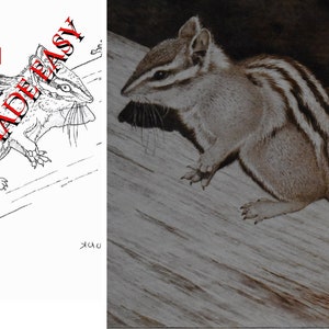 Chipmunk Pyrography Pattern Wood Burning Pattern Digital Download ...