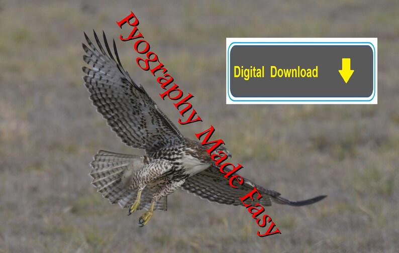 Flying Hawk Pyrography Pattern Wood Burning Pattern Digital Download - Etsy