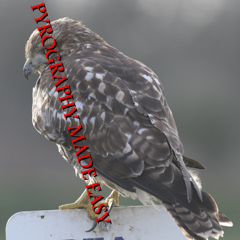 PyrographyMadeEasy - Etsy