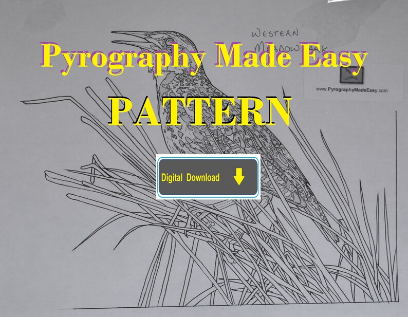 Western Meadowlark Bird Pyrography Pattern Wood Burning Pattern Digital ...