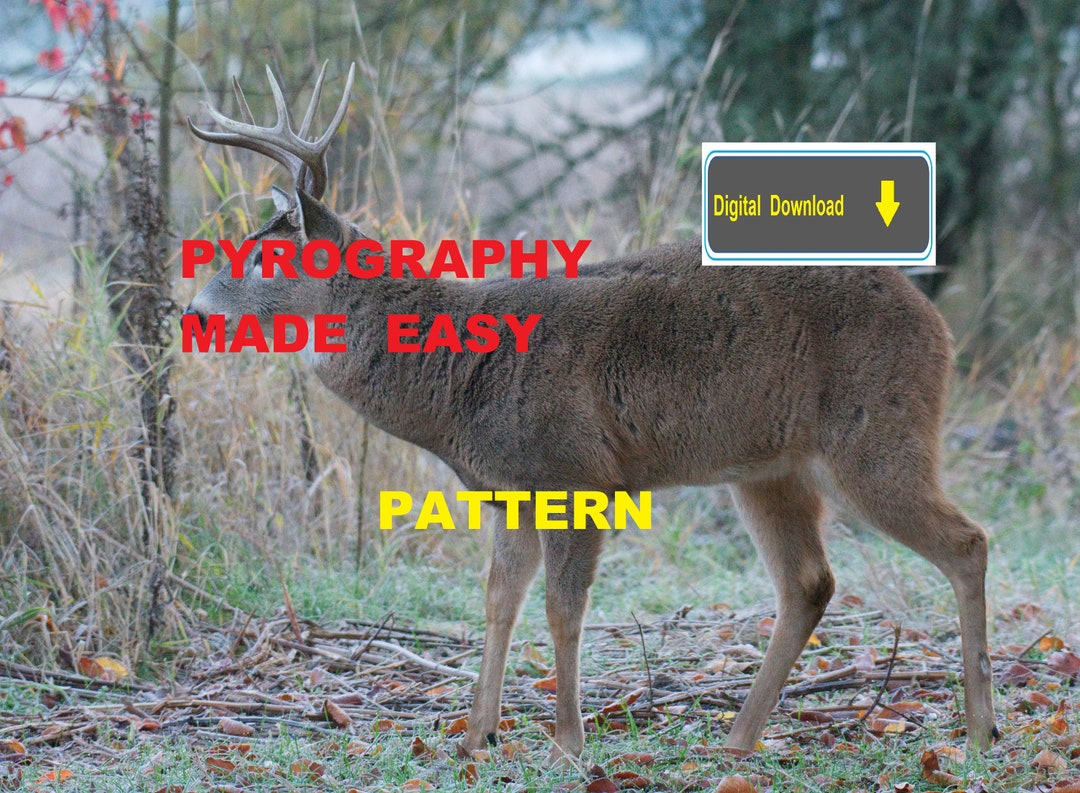 White Tailed Deer Side View Pyrography Pattern Wood Burning Pattern ...