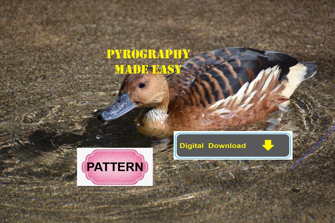 Fulvous Whistling Duck Pyrography Pattern Wood Burning Pattern Digital ...