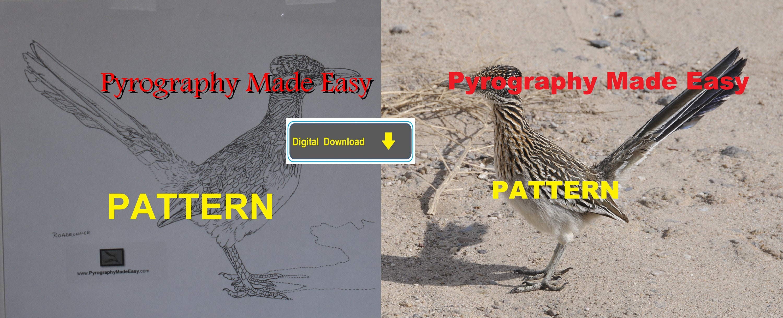 Roadrunner Bird Pyrography Pattern Wood Burning Pattern Digital ...