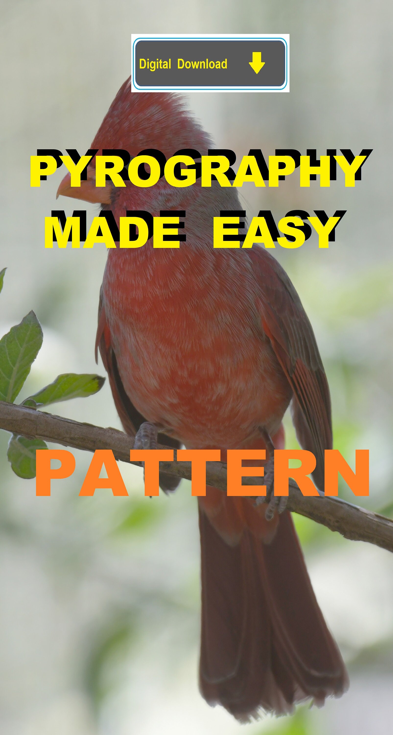 Red Cardinal Bird Front Pyrography Pattern Wood Burning Pattern Digital Download - Etsy