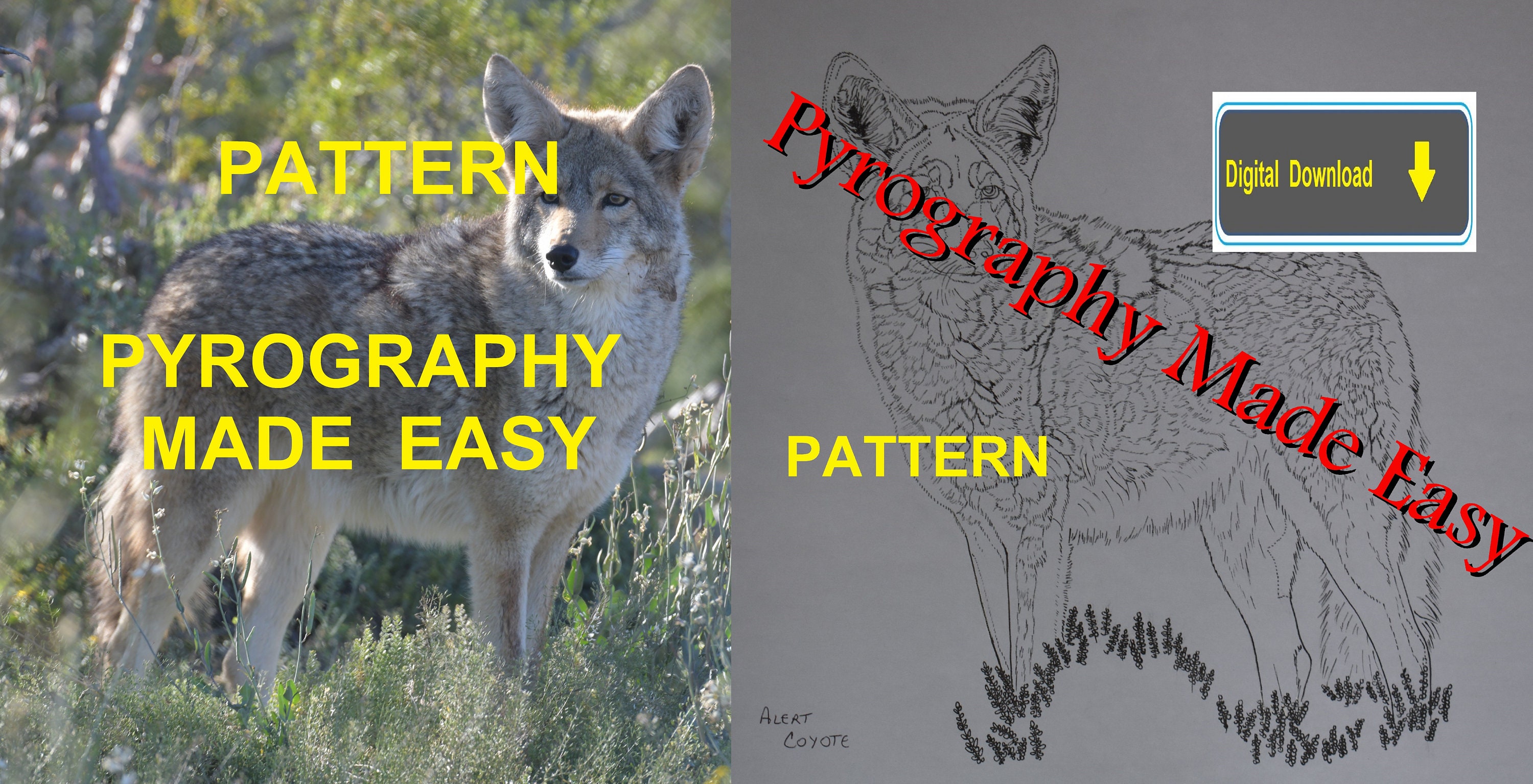 Coyote Pyrography Pattern Wood Burning Pattern Digital Download - Etsy