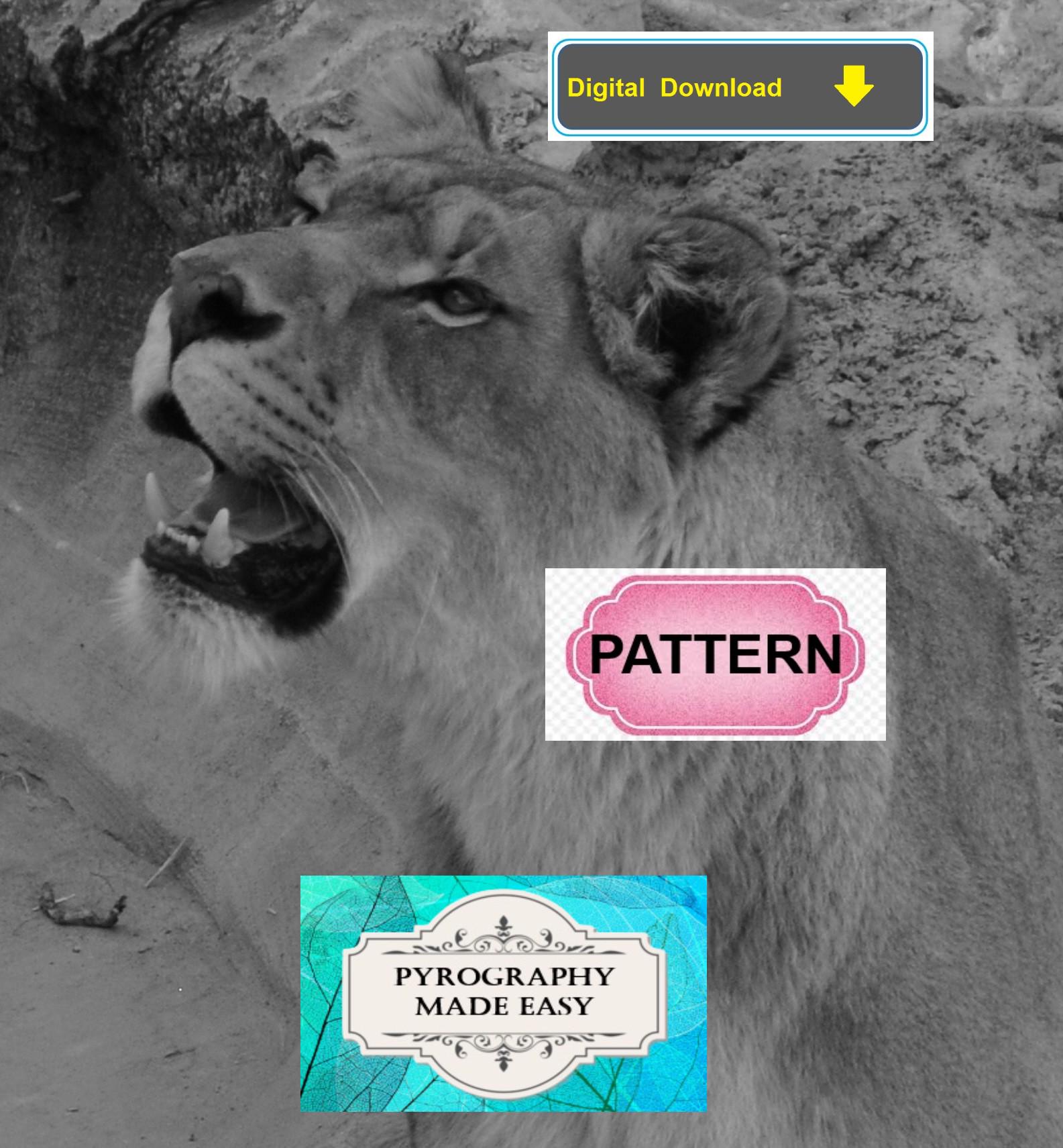 Lioness Pyrography Pattern: Tutorial Available - Wood Burning Pattern ...
