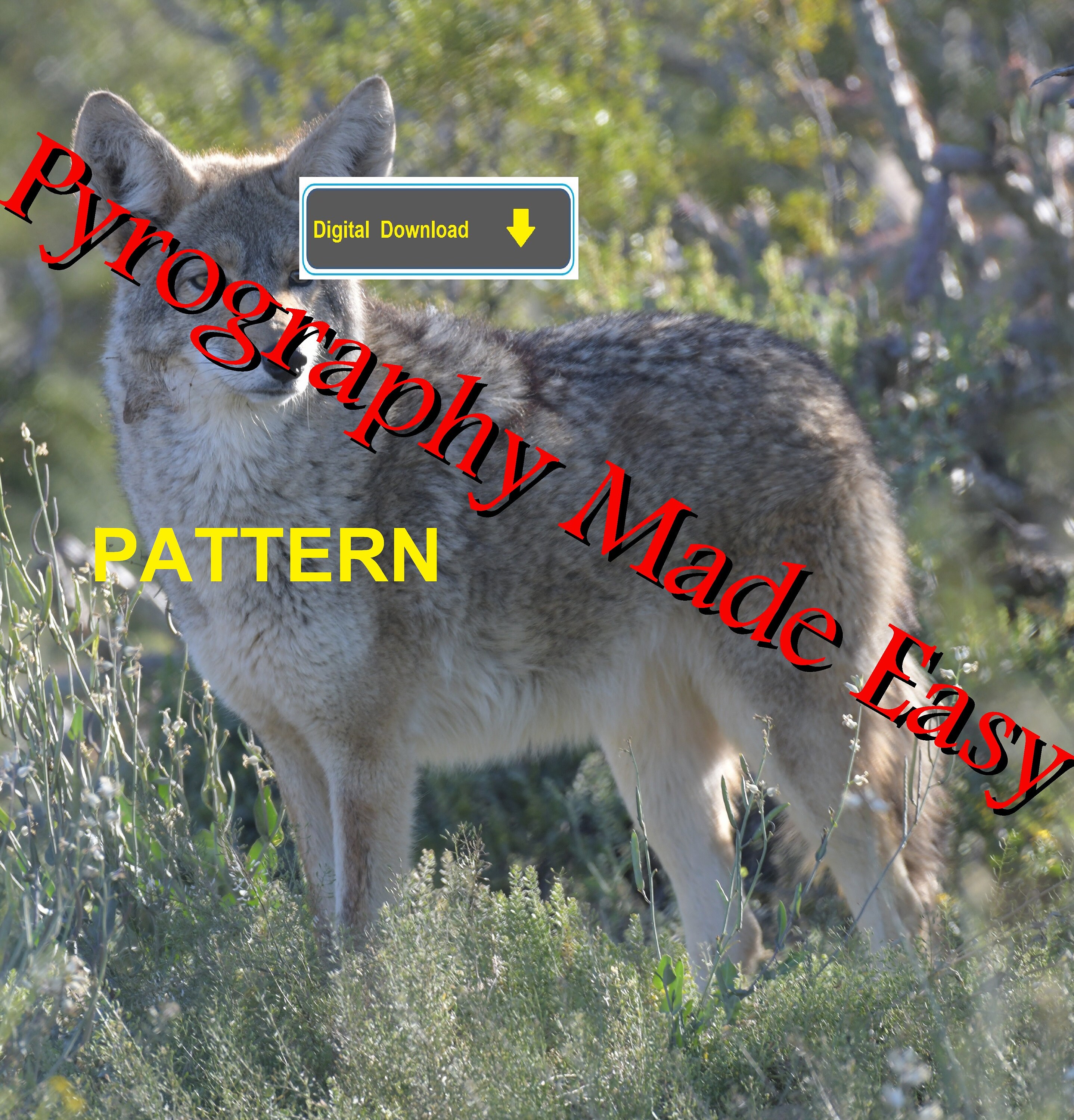 Coyote Pyrography Pattern Wood Burning Pattern Digital Download - Etsy