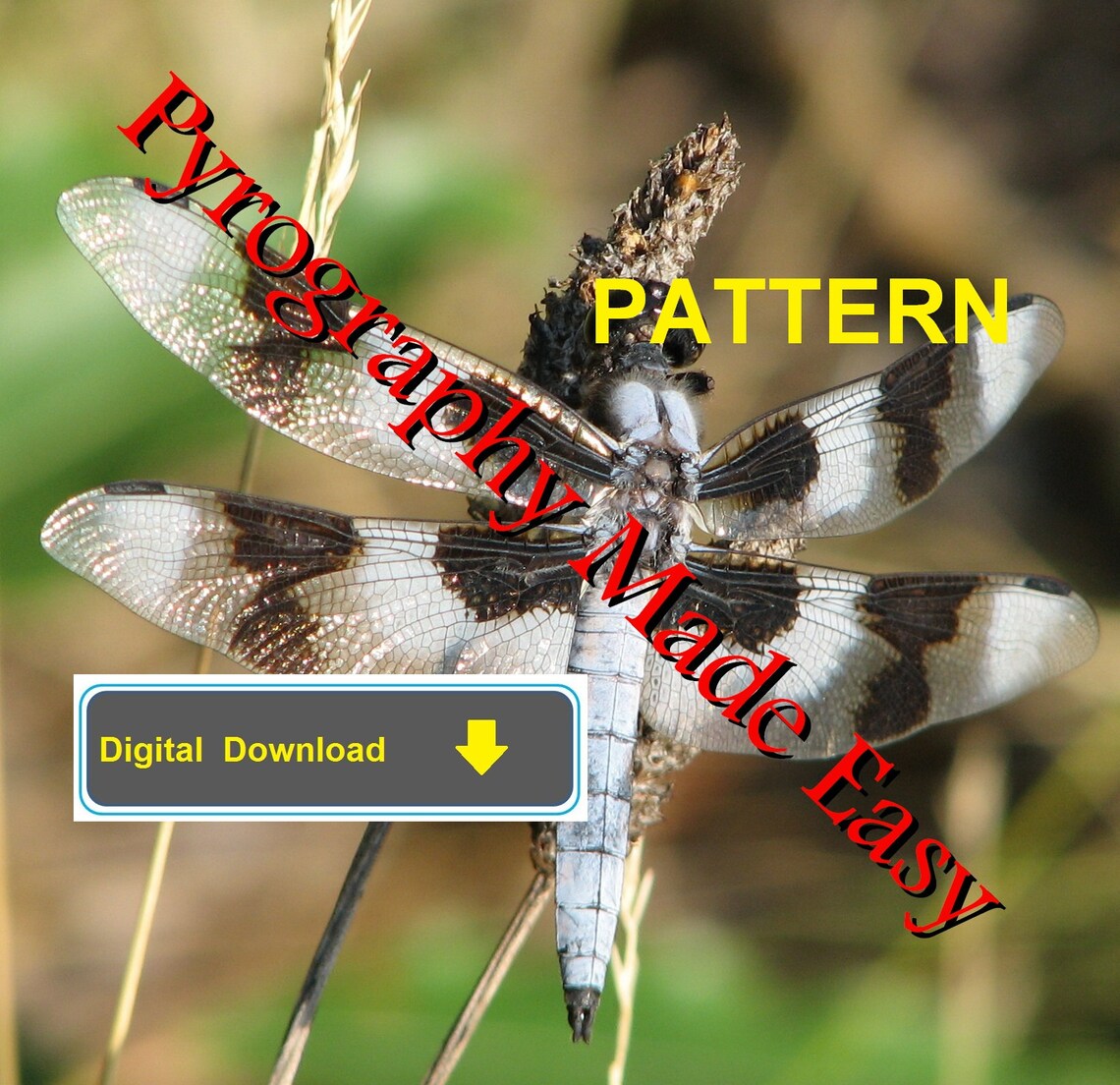 Dragonfly Pyrography Pattern Wood Burning Pattern Digital - Etsy