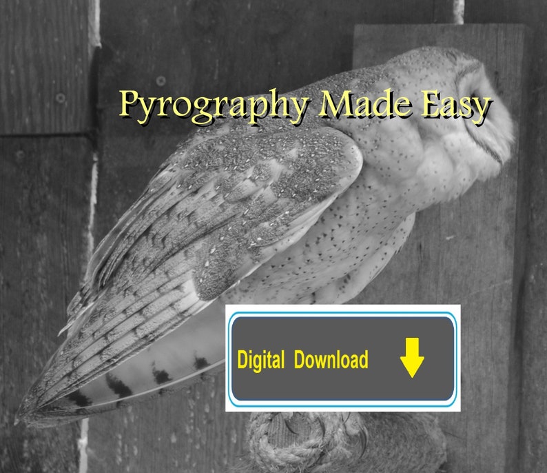 Barn Owl II Pyrography Pattern Wood Burning Pattern Digital Download - Etsy
