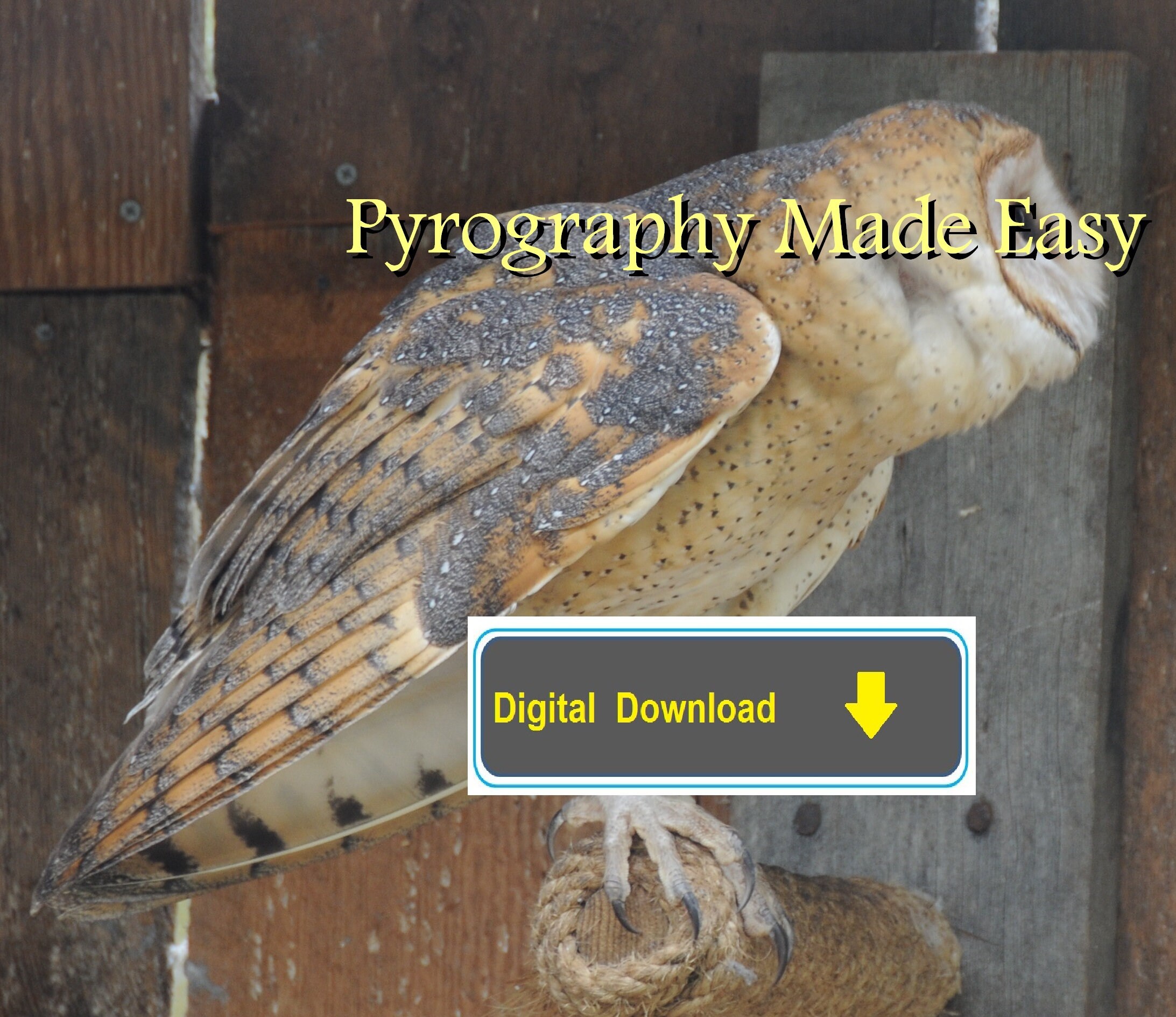 Barn Owl II Pyrography Pattern Wood Burning Pattern Digital Download - Etsy