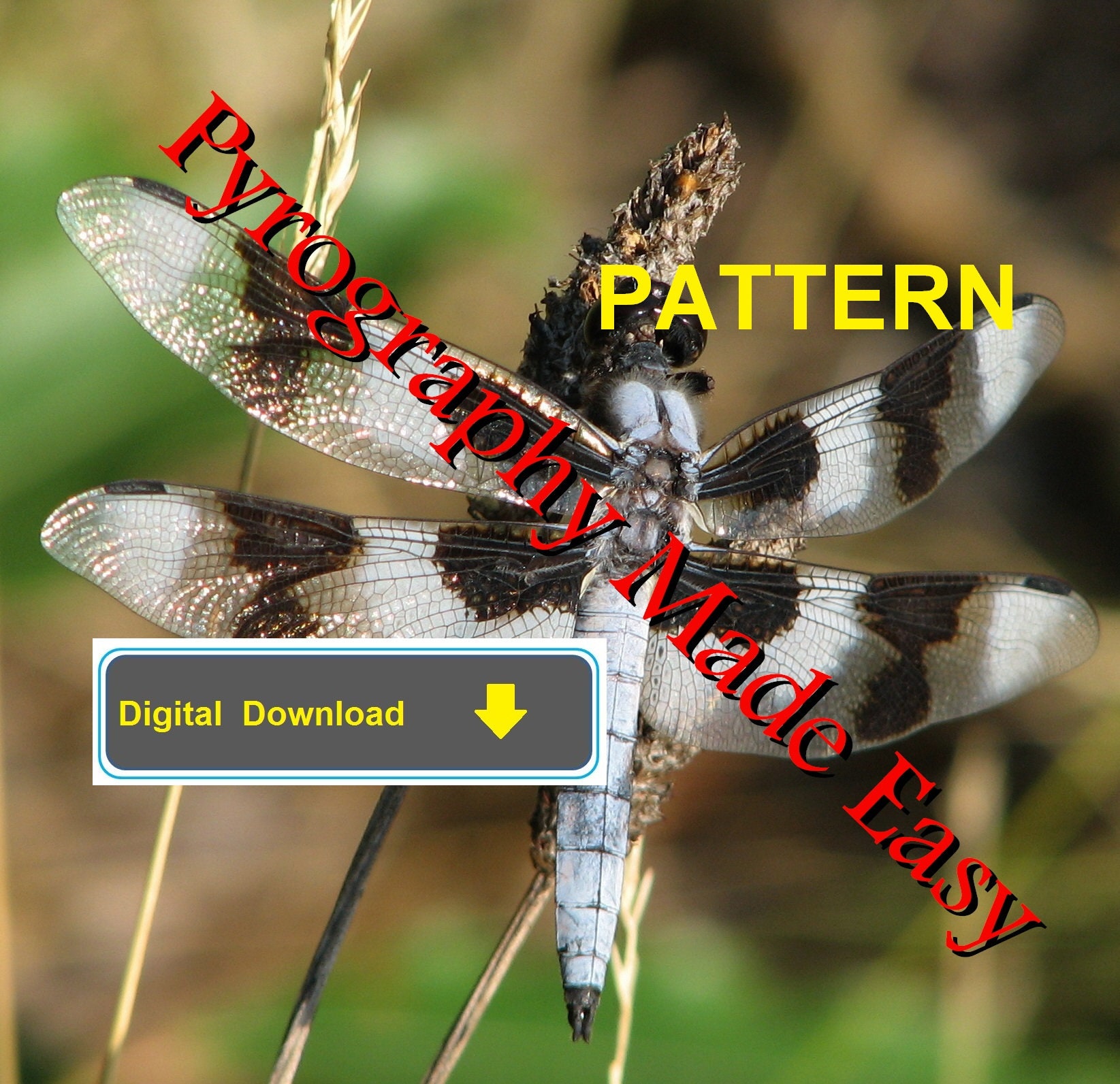 Dragonfly Pyrography Pattern Wood Burning Pattern Digital - Etsy