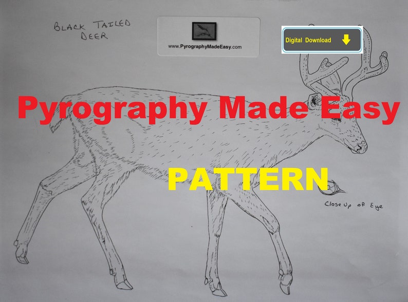 Black Tailed Deer Buck Pyrography Pattern Wood Burning Pattern - Etsy