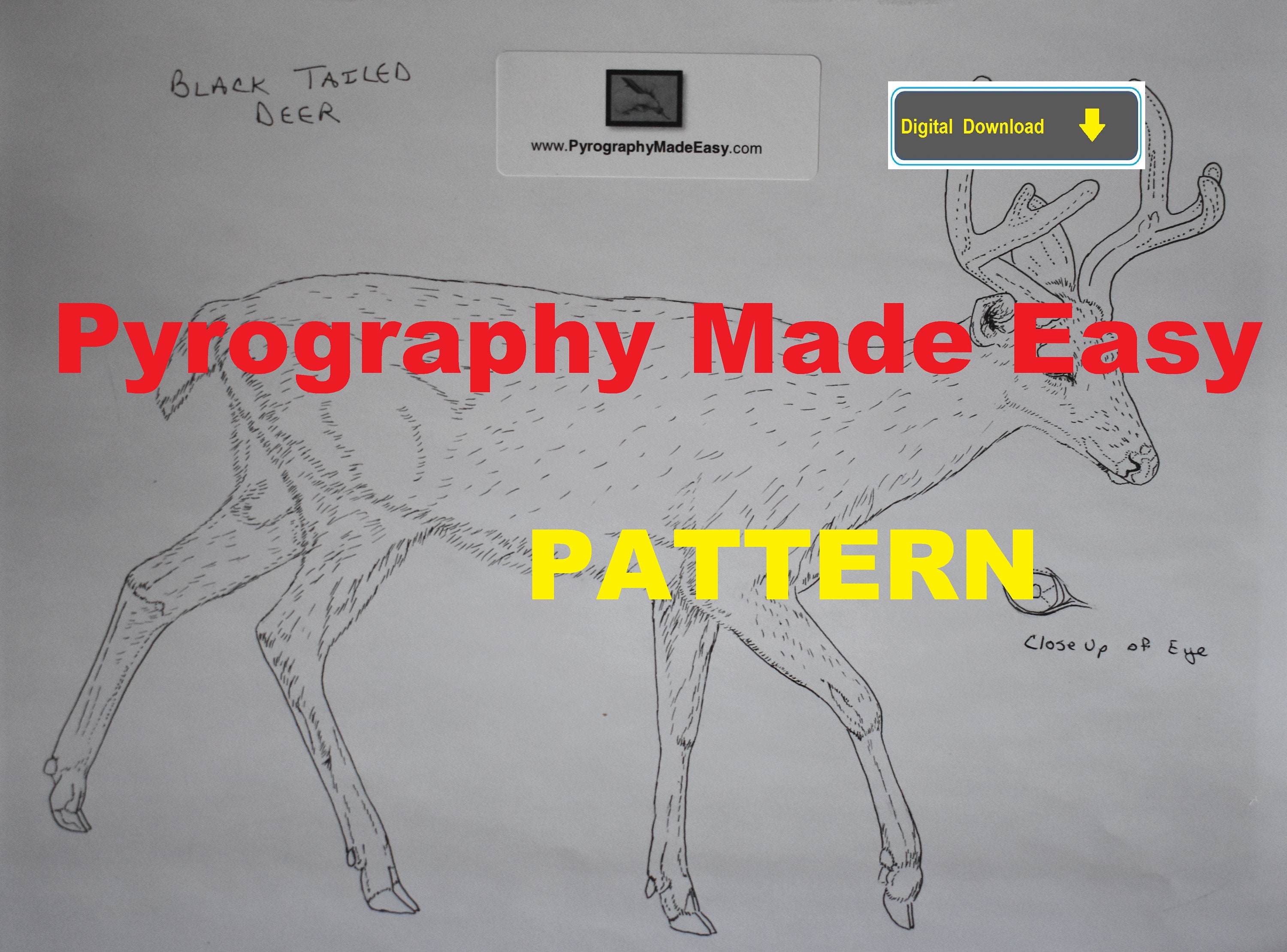 Black Tailed Deer Buck Pyrography Pattern Wood Burning Pattern - Etsy
