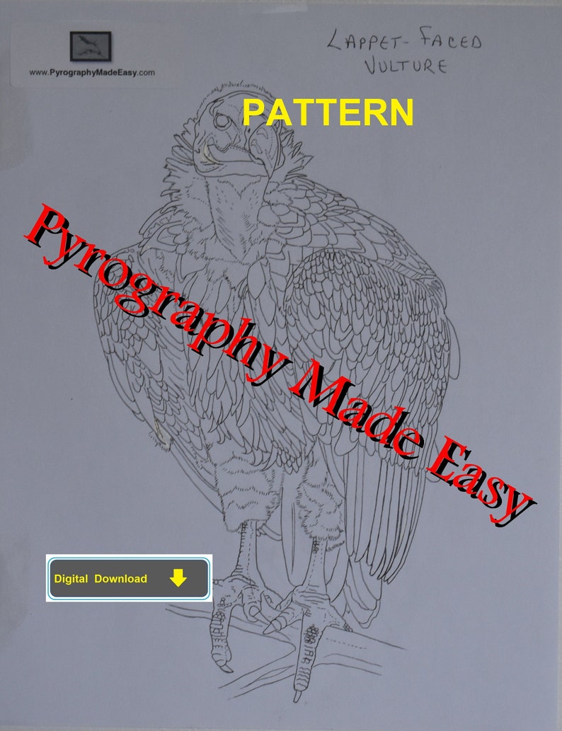 Lappet-faced Vulture Pyrography Pattern Wood Burning Pattern Digital ...