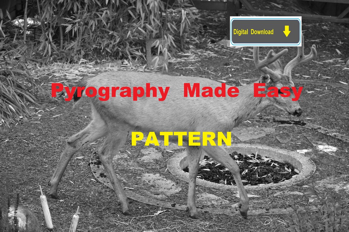 Black Tailed Deer Buck Pyrography Pattern Wood Burning Pattern - Etsy