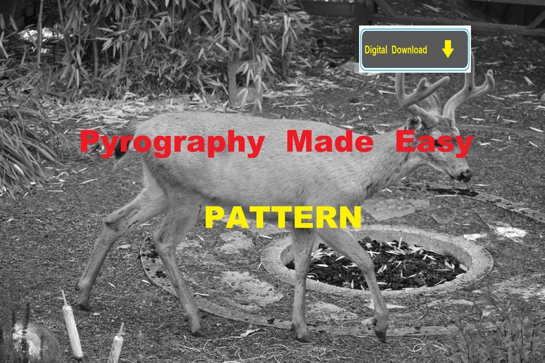 Black Tailed Deer Buck Pyrography Pattern Wood Burning Pattern - Etsy