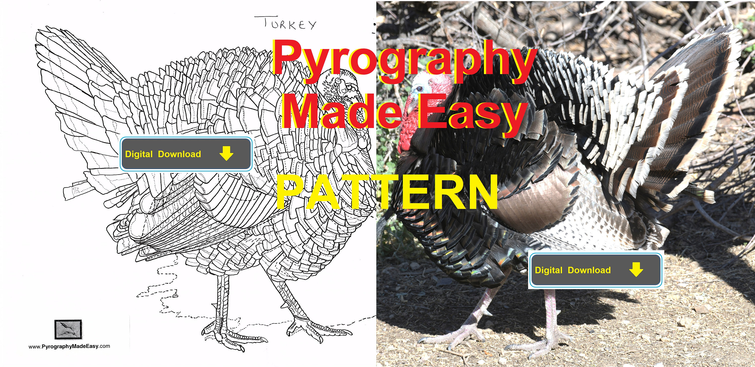 Wood Burning Bear Patterns - Etsy