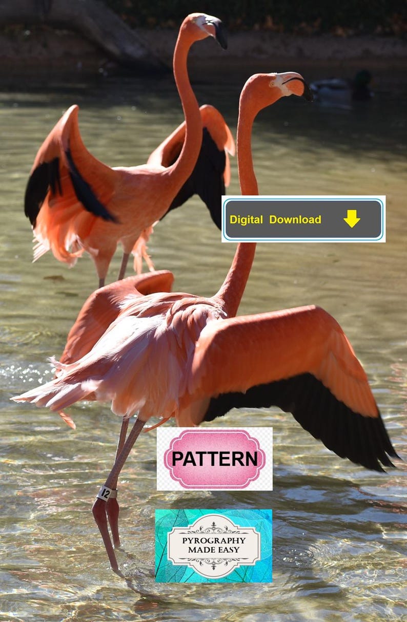 Pink Flamingos Pyrography Pattern: Wood Burning Art Pattern (digital ...