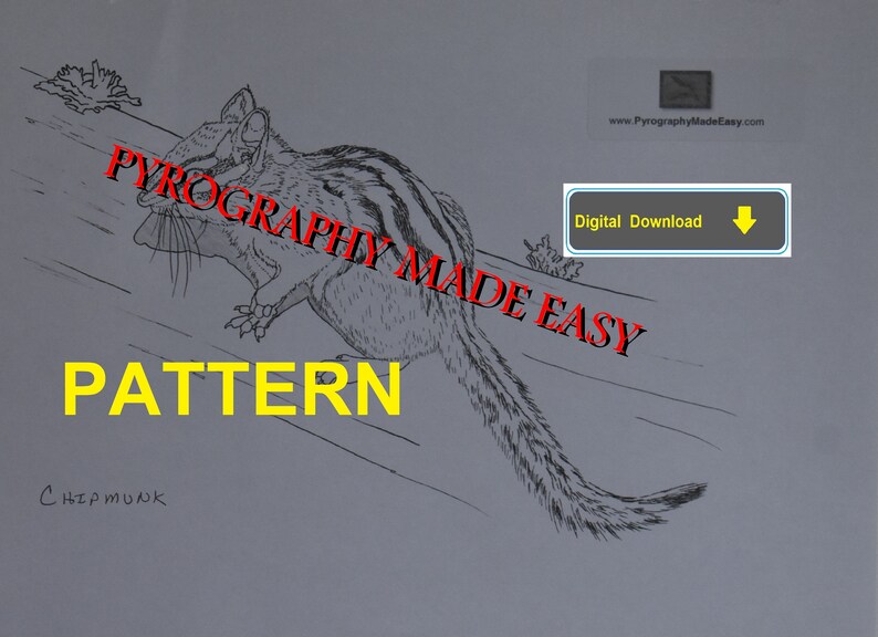 Chipmunk Pyrography Pattern Wood Burning Pattern Digital Download ...