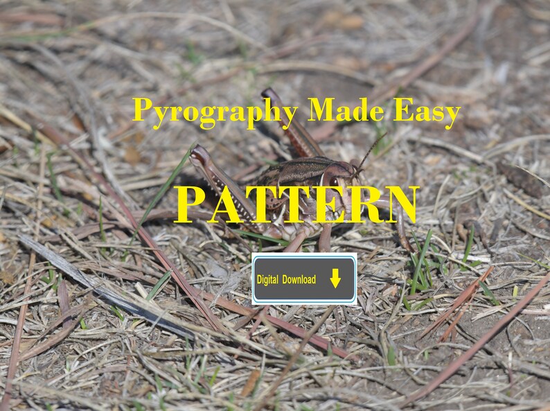 Grasshopper 3/4 View Pyrography Pattern Wood Burning Pattern Digital ...