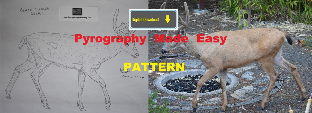 Black Tailed Deer Buck Pyrography Pattern Wood Burning Pattern - Etsy