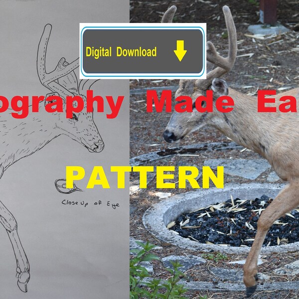 Deer Wood Burning - Etsy