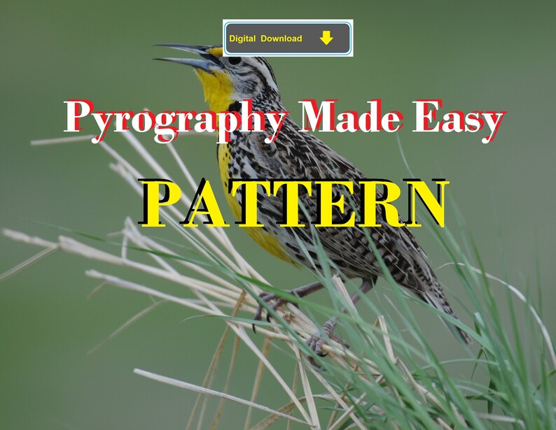 Western Meadowlark Bird Pyrography Pattern Wood Burning Pattern Digital ...