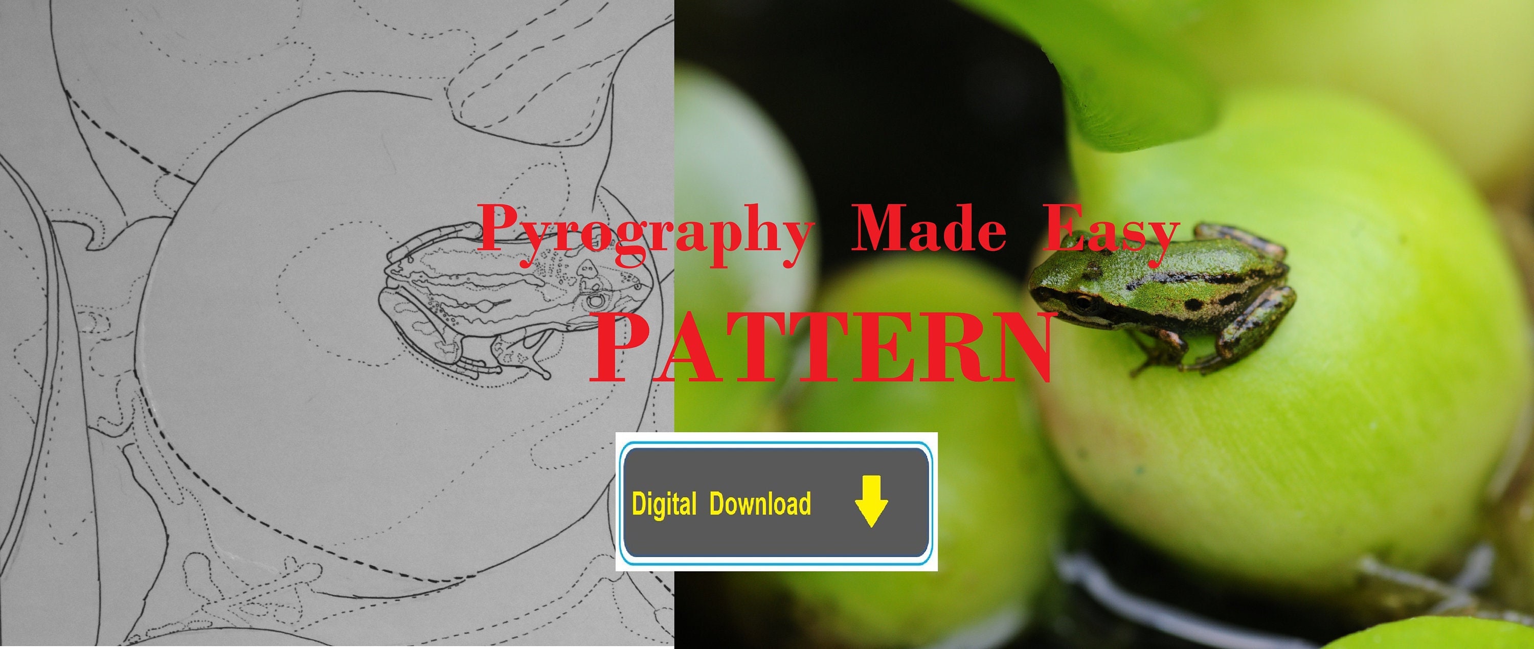 Papific Tree Frog Pyrography Pattern Wood Burning Pattern Digital ...